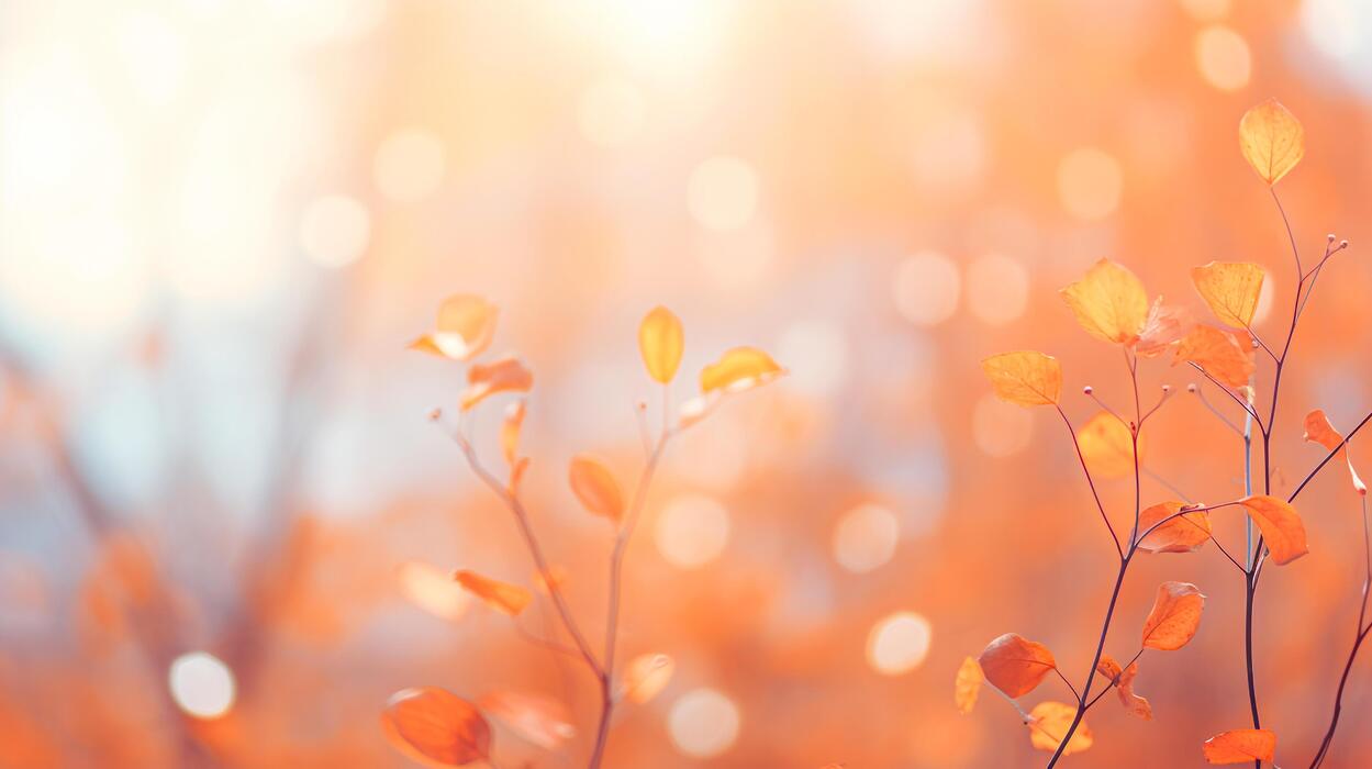 Background Autumn Stock Photos, Images and Backgrounds for Free Download