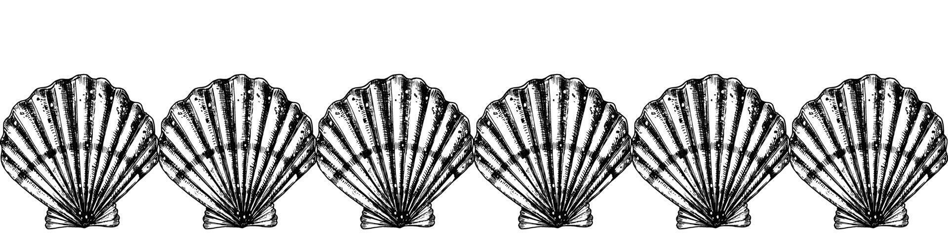 Shell Border Vector Art, Icons, and Graphics for Free Download