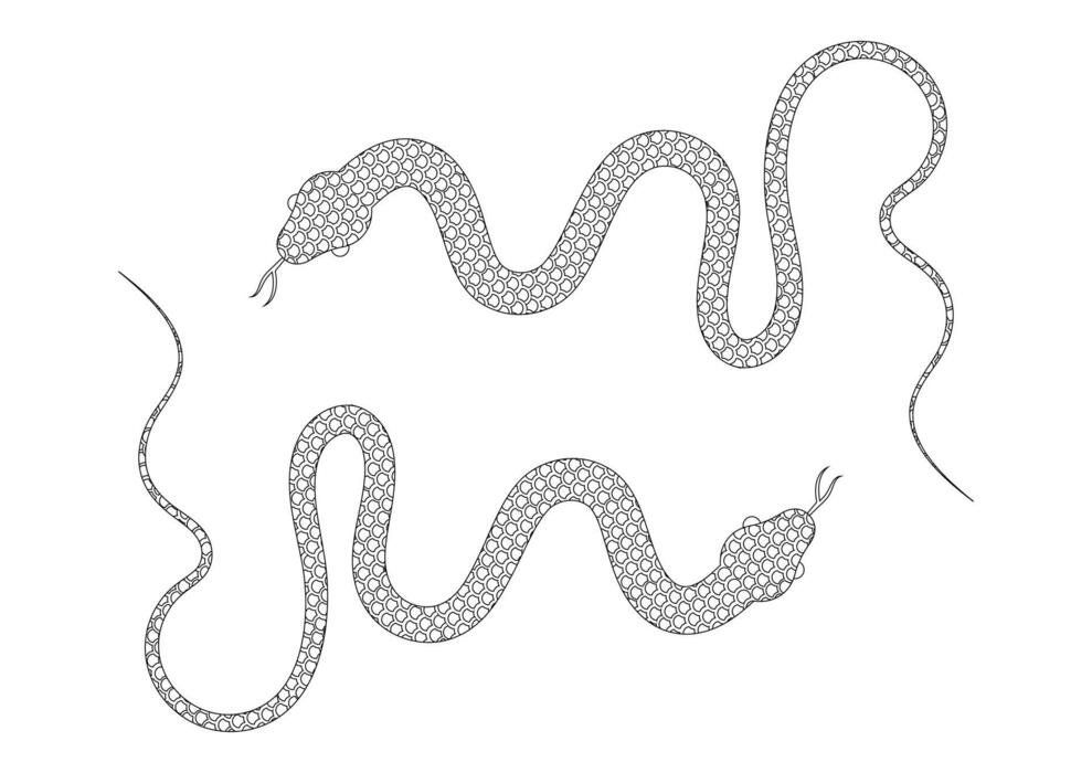 Two Snakes Vector Art, Icons, and Graphics for Free Download