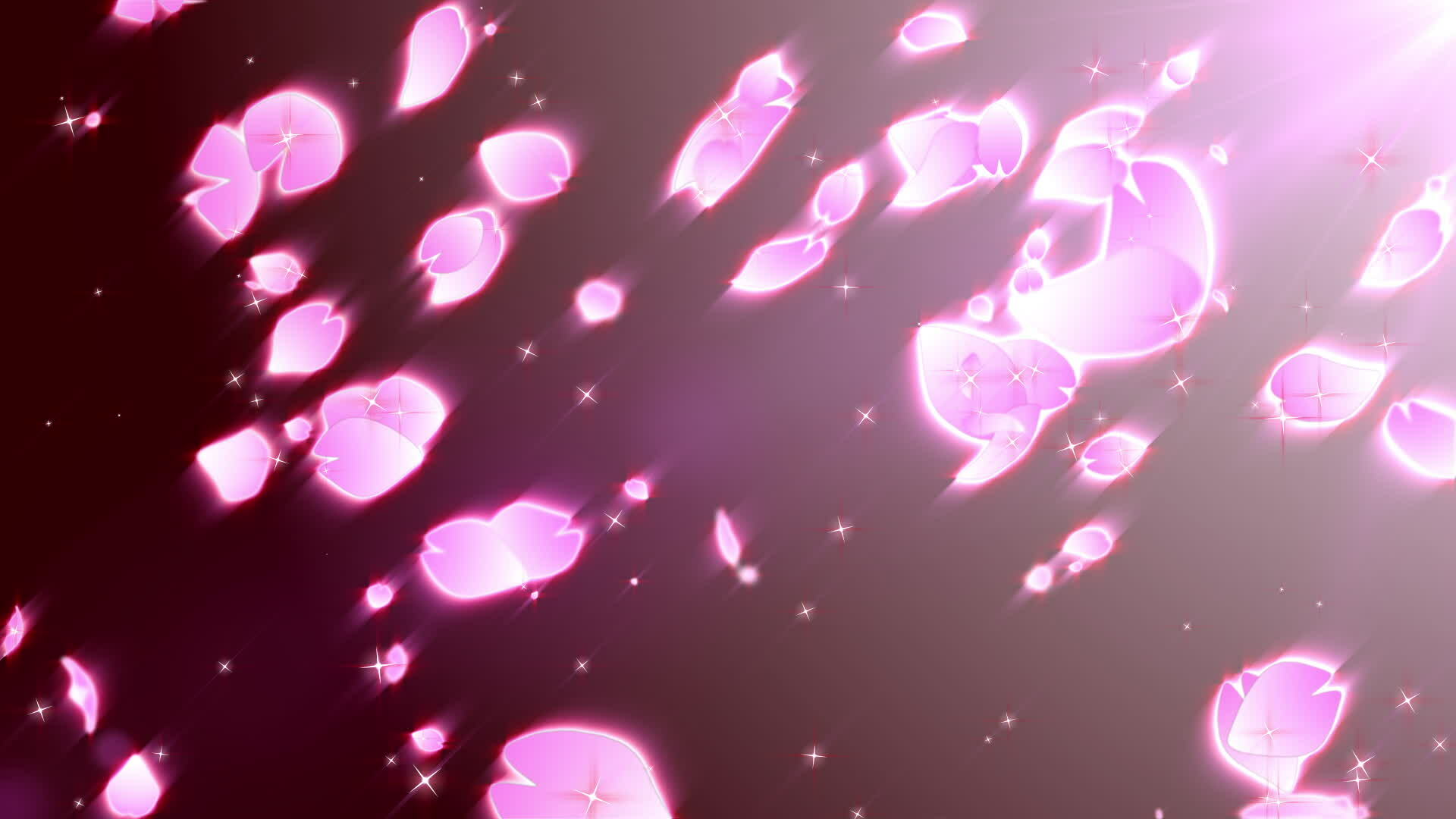 Sakura leaf particle 29890546 Stock Video at Vecteezy Sakura leaf particle 29890546 Stock Video at Vecteezy