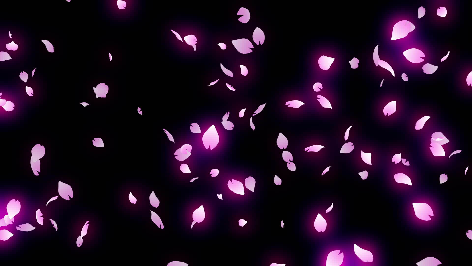 Sakura leaf particle 29890840 Stock Video at Vecteezy Sakura leaf particle 29890840 Stock Video at Vecteezy