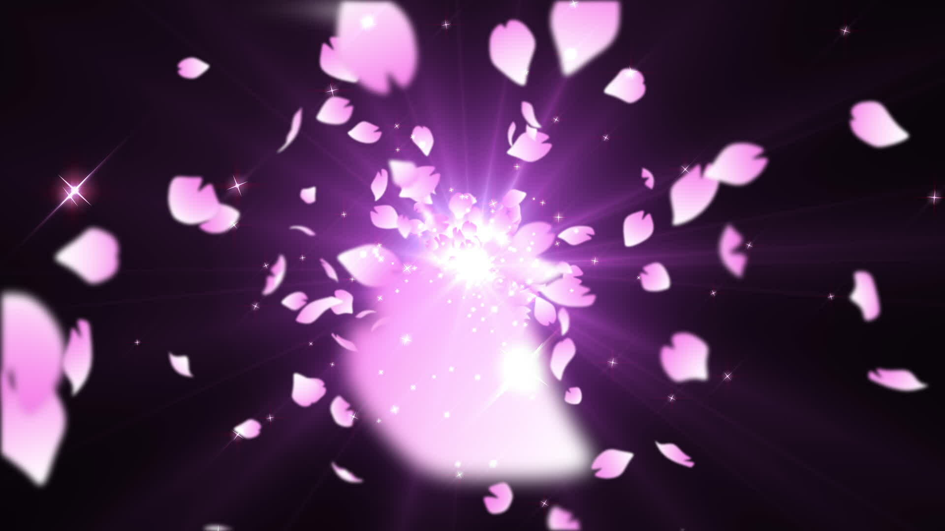 Sakura leaf particle 29890841 Stock Video at Vecteezy Sakura leaf particle 29890841 Stock Video at Vecteezy