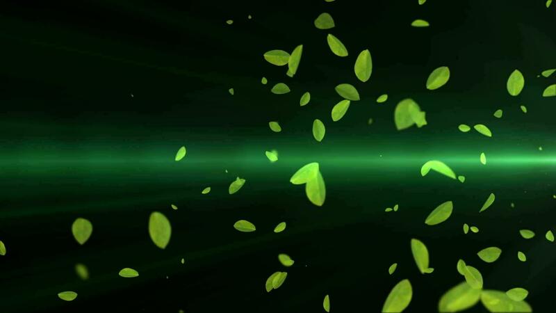 Green tree leaves particle 29890849 Stock Video at Vecteezy