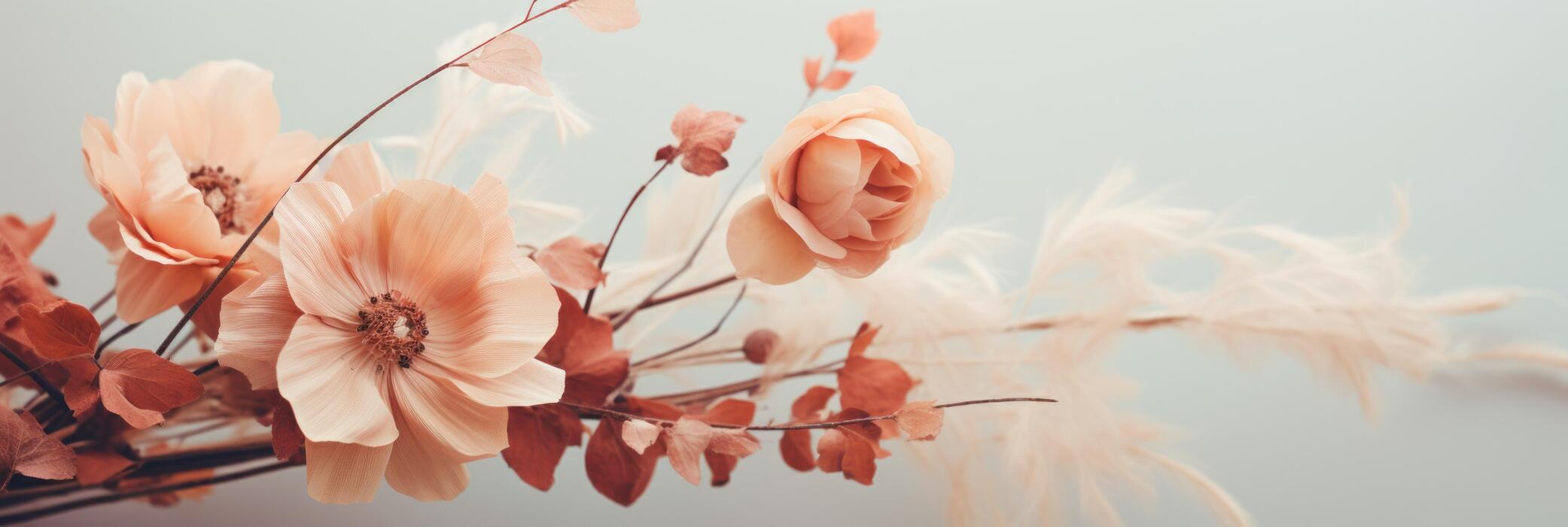 Boho Flower Stock Photos, Images and Backgrounds for Free Download