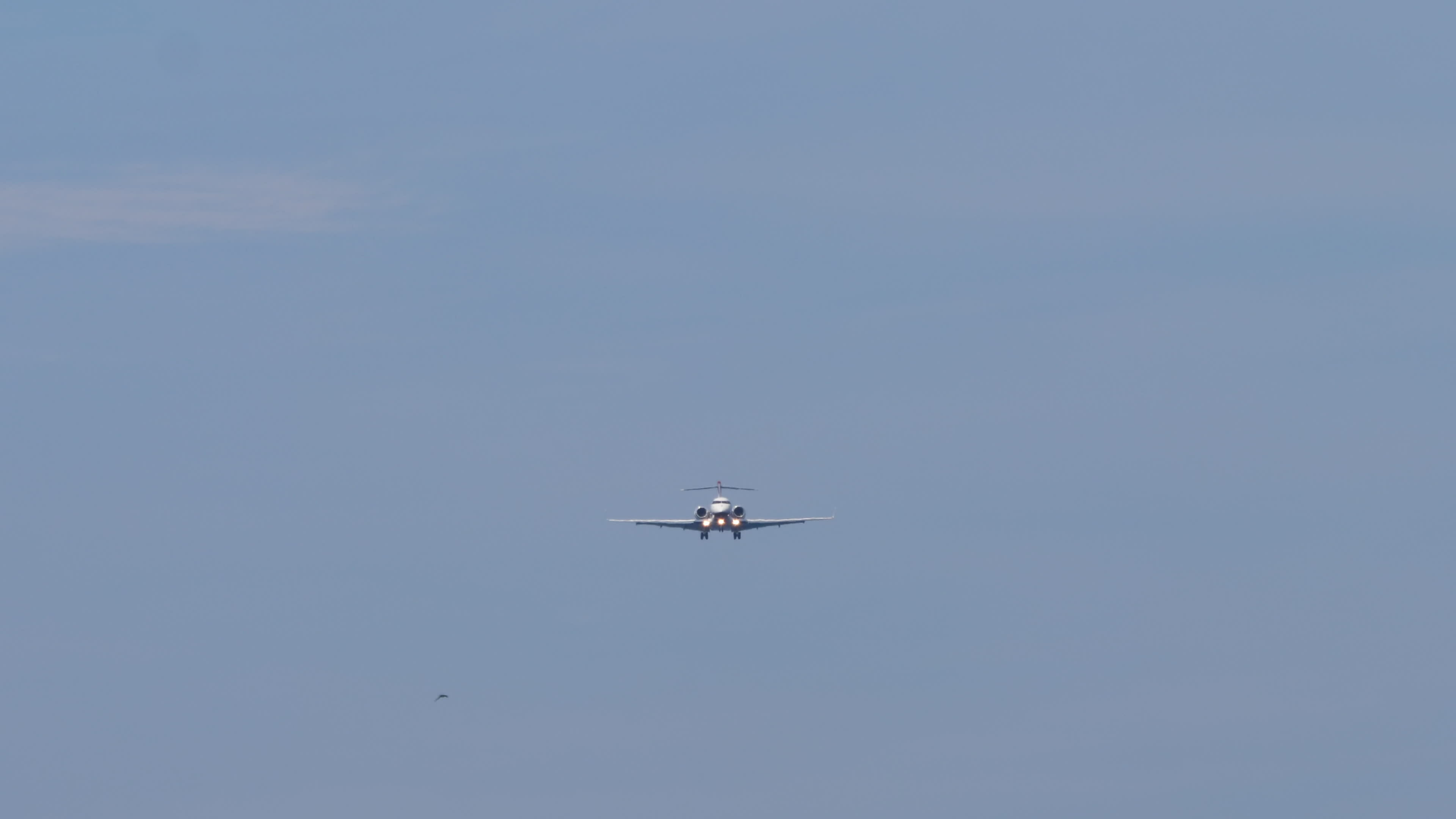 Airplane approaching for landing, bottom view. Jet passenger plane ...