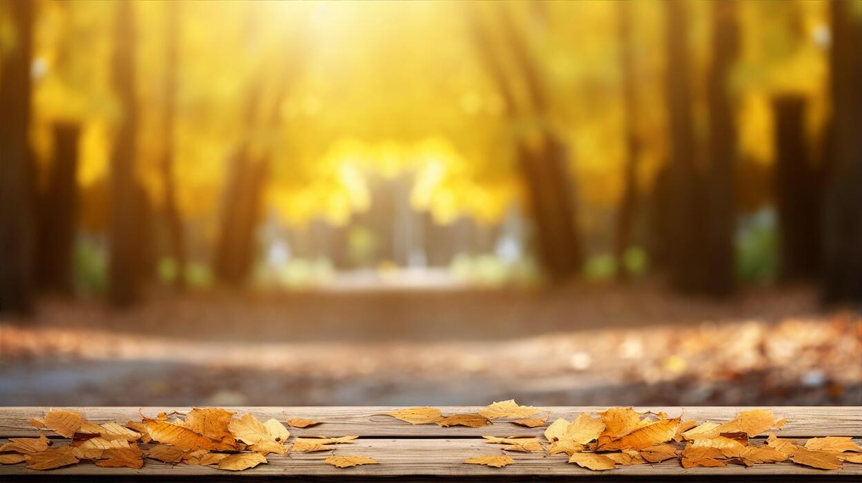Fall Autumn Background Stock Photos, Images and Backgrounds for Free ...