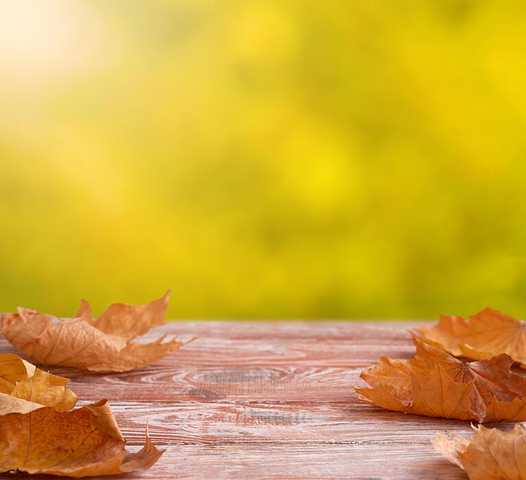 Fall Autumn Background Stock Photos, Images and Backgrounds for Free ...