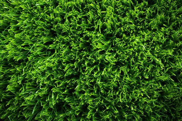Artificial Turf Stock Photos, Images and Backgrounds for Free Download