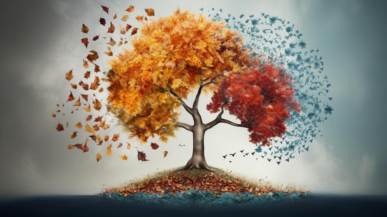 Changing Seasons Stock Photos, Images and Backgrounds for Free Download