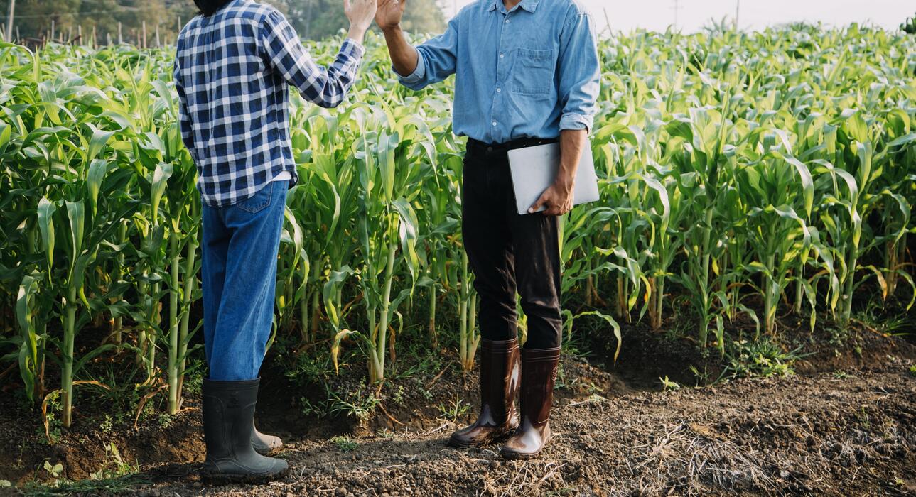 Farmers Talking Stock Photos, Images and Backgrounds for Free Download