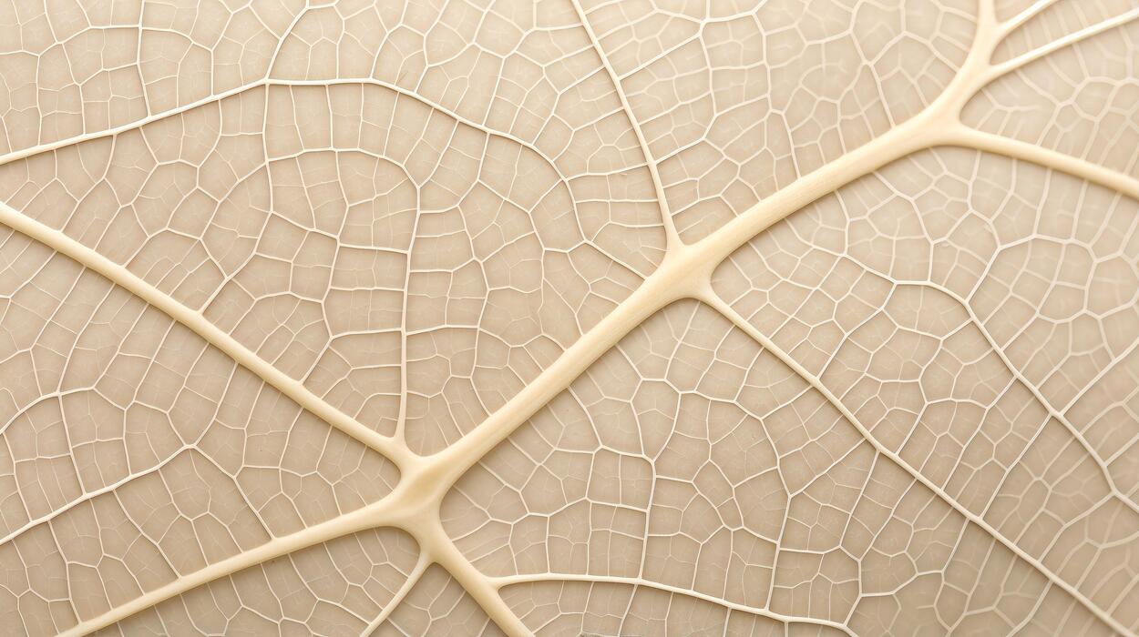 Biology Pattern Stock Photos, Images and Backgrounds for Free Download