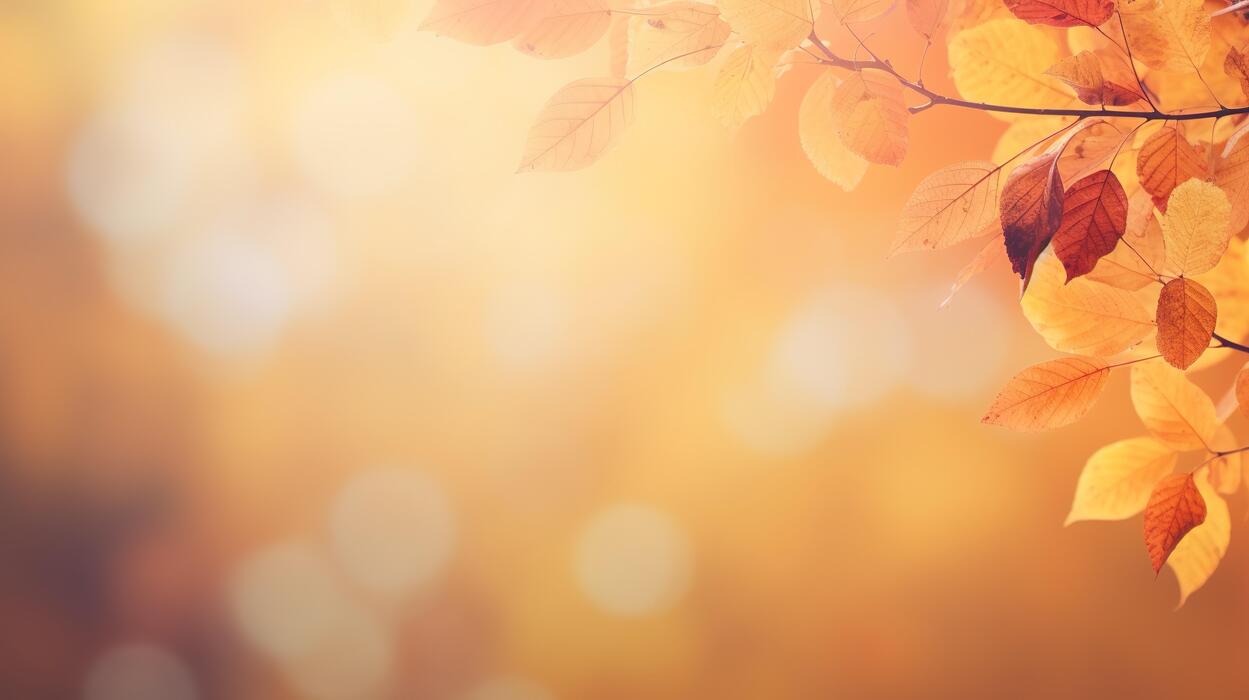 Fall Autumn Background Stock Photos, Images and Backgrounds for Free ...