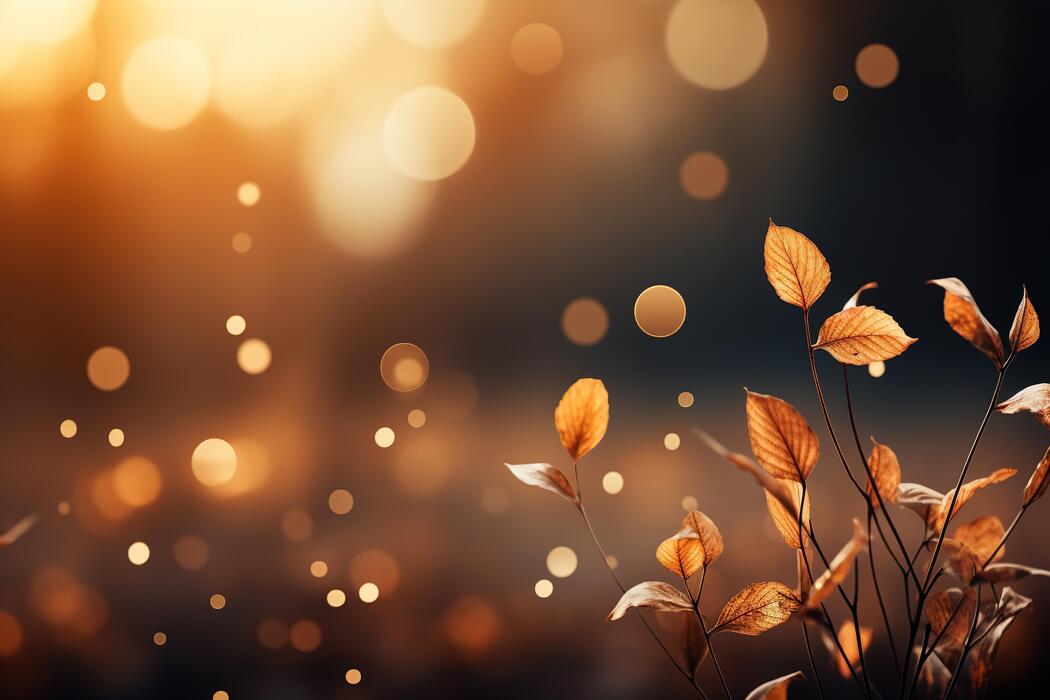 Fall Bokeh Stock Photos, Images and Backgrounds for Free Download