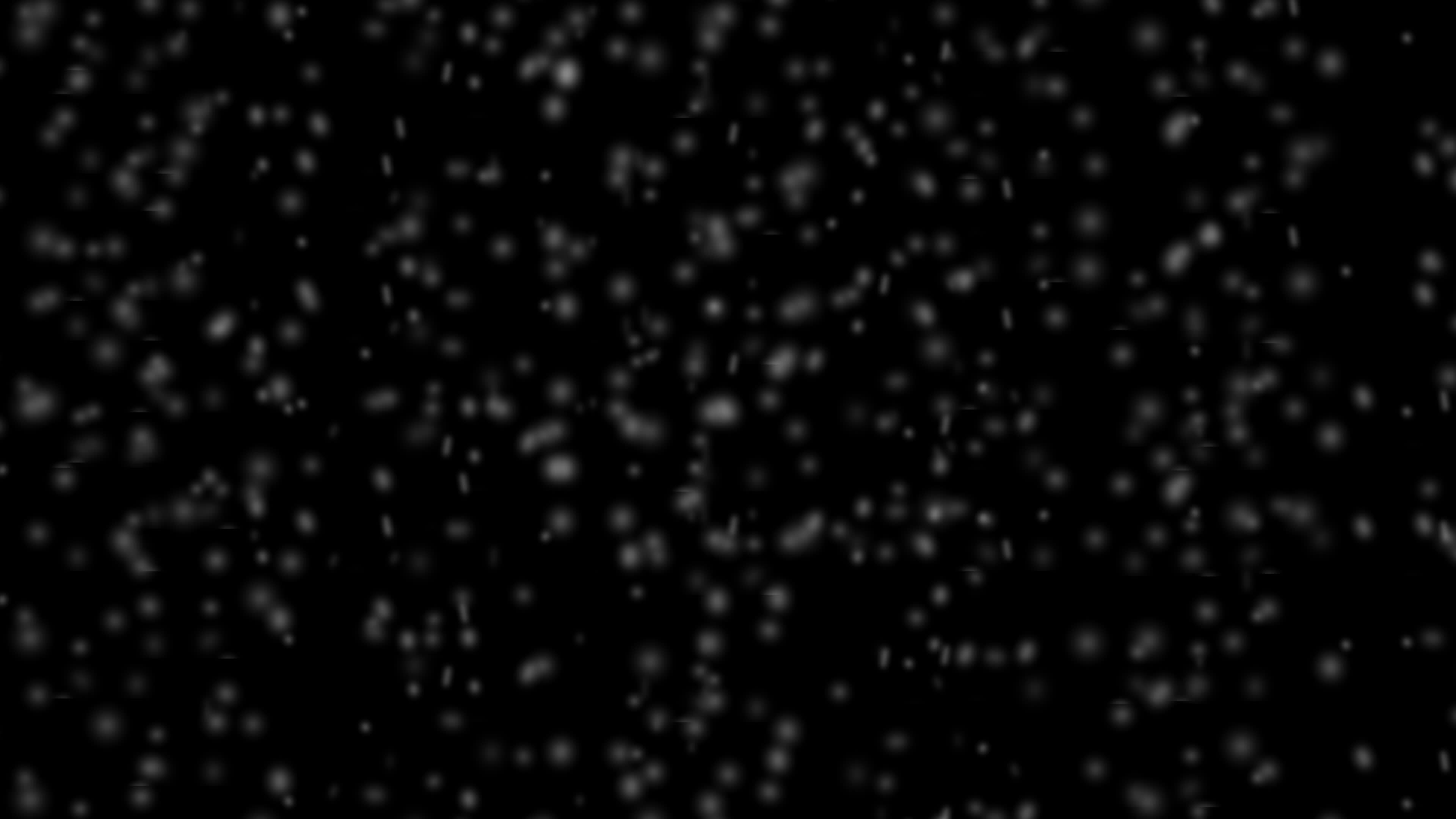 Dust Particles Overlay Floating Glittering Particles On Black