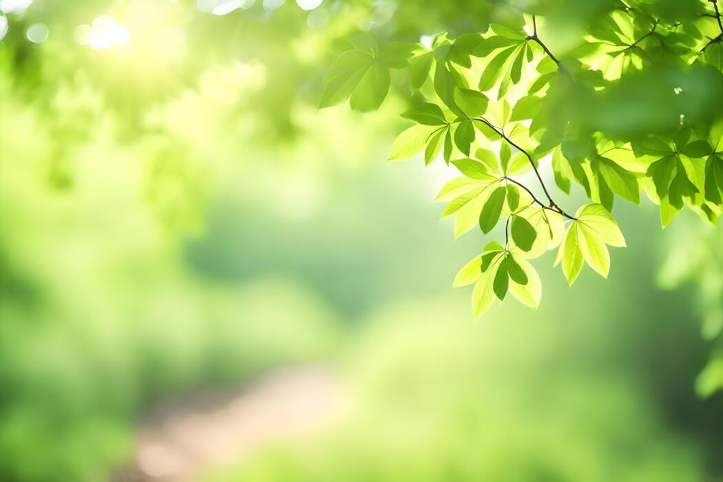 Light Green Nature Stock Photos, Images and Backgrounds for Free Download