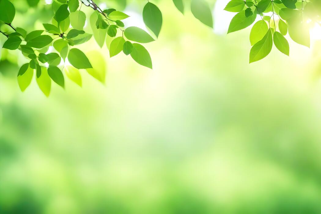 Green Background Cdr Stock Photos, Images and Backgrounds for Free Download