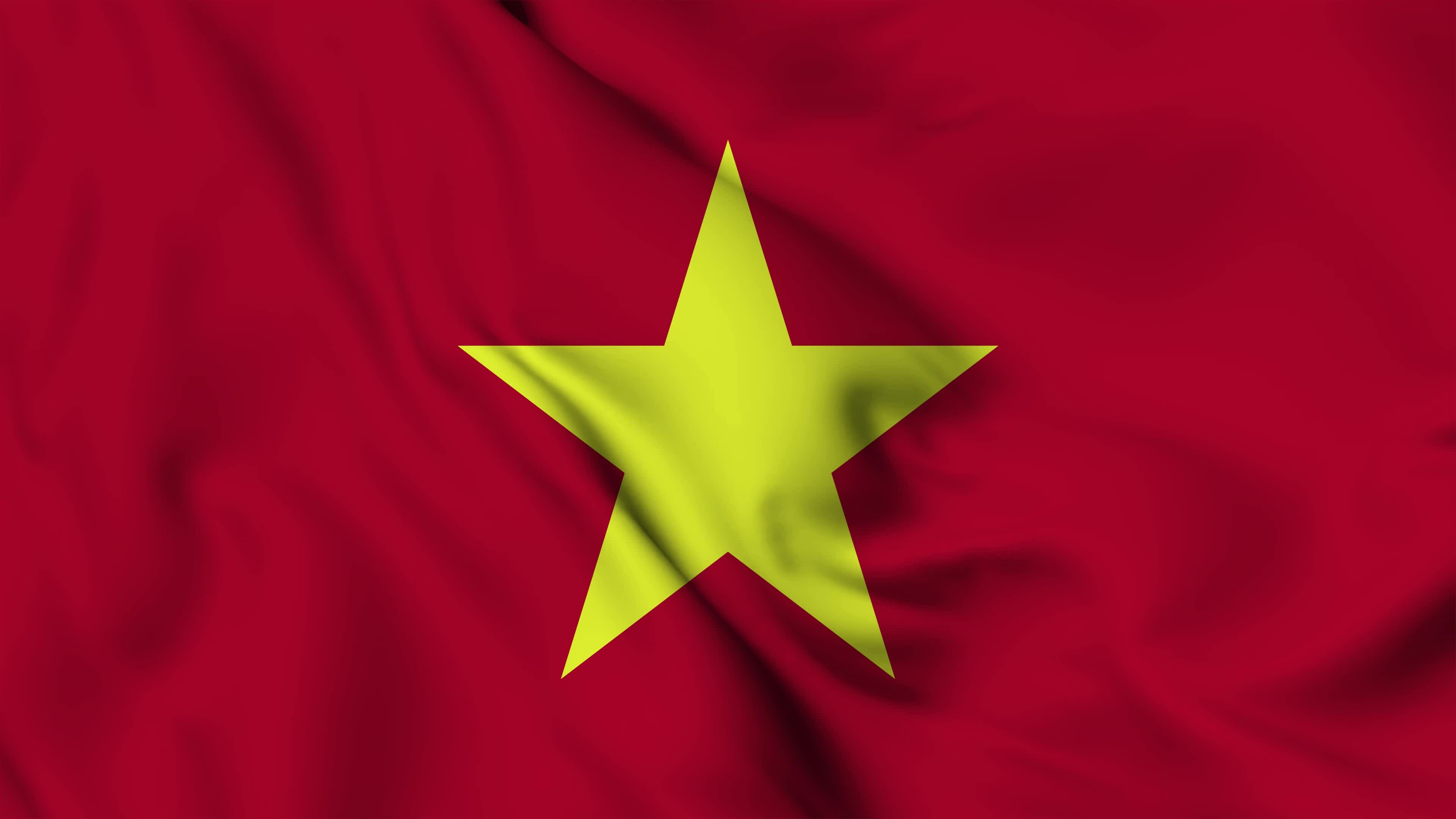 Vietnam flag animation for background in 4k. Happy independence day Vietnam national flag waving ...