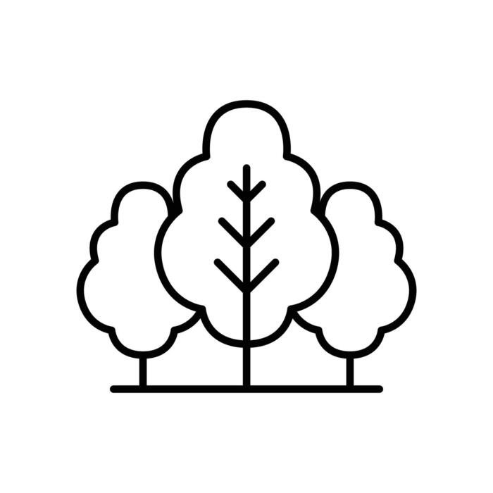 Oak Icon