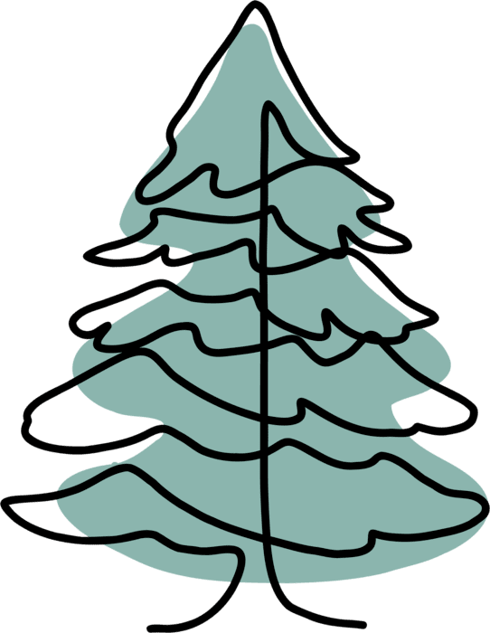 Pine Tree Line Drawing PNGs for Free Download