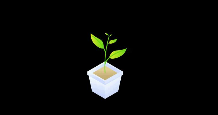 Growing Tree Animation Stock Video Footage for Free Download