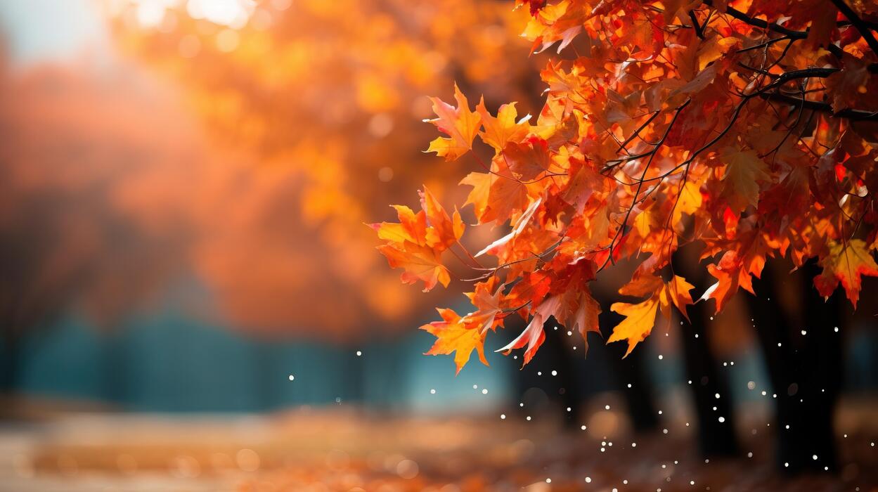 Fall Background Stock Photos, Images and Backgrounds for Free Download