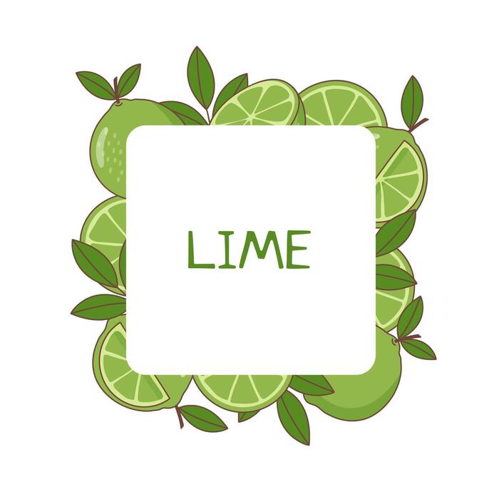 Citrus Border Vector Art, Icons, and Graphics for Free Download