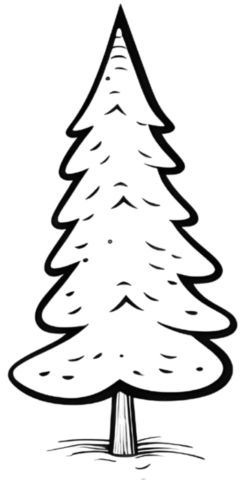 Pine Tree Line Drawing PNGs for Free Download