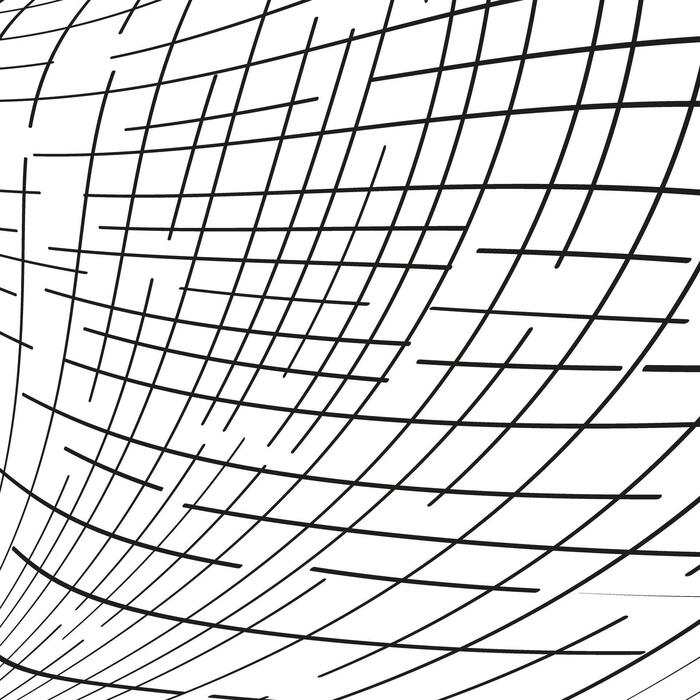 Page 2 | Warped Grid Vector Art, Icons, and Graphics for Free Download