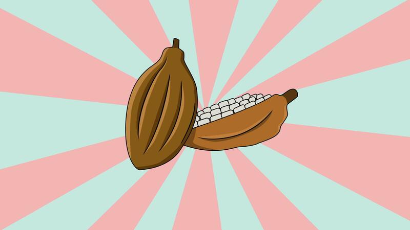 Animated Cocoa Fruit Icon With A Rotating Background 33532215 Stock Video At Vecteezy