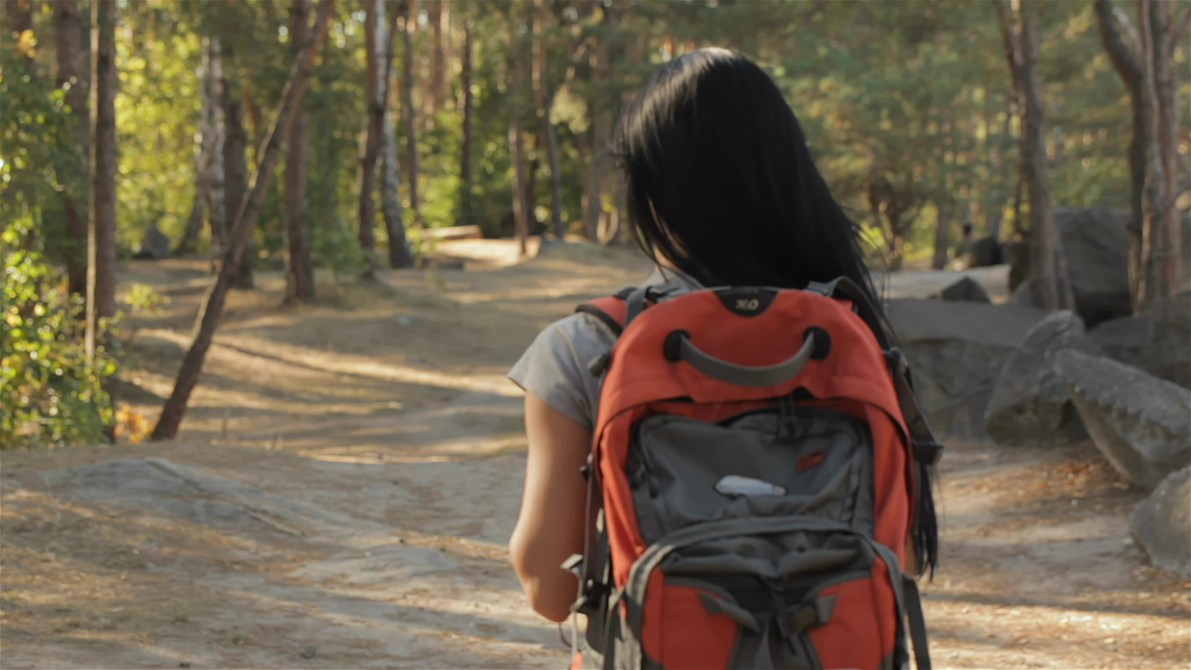 Female hiker turns around at the forest 33534172 Stock Video at Vecteezy