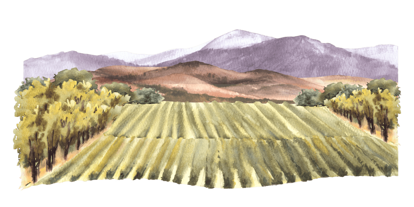 Vineyard PNGs for Free Download