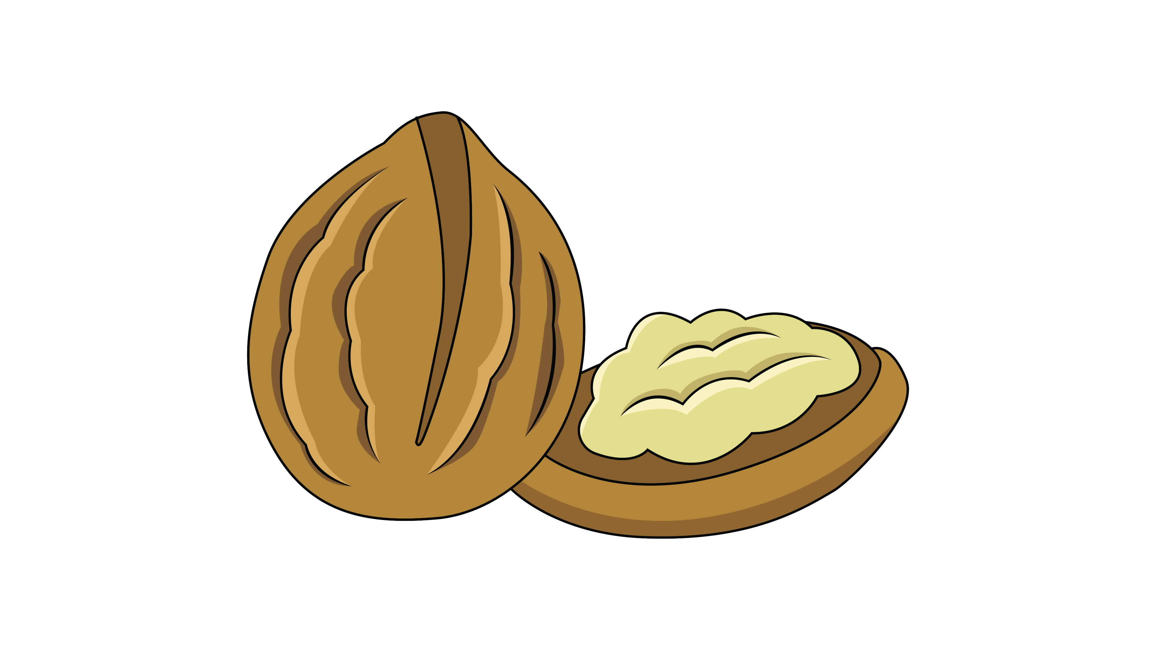 Animated video forming a walnut icon 33835824 Stock Video at Vecteezy