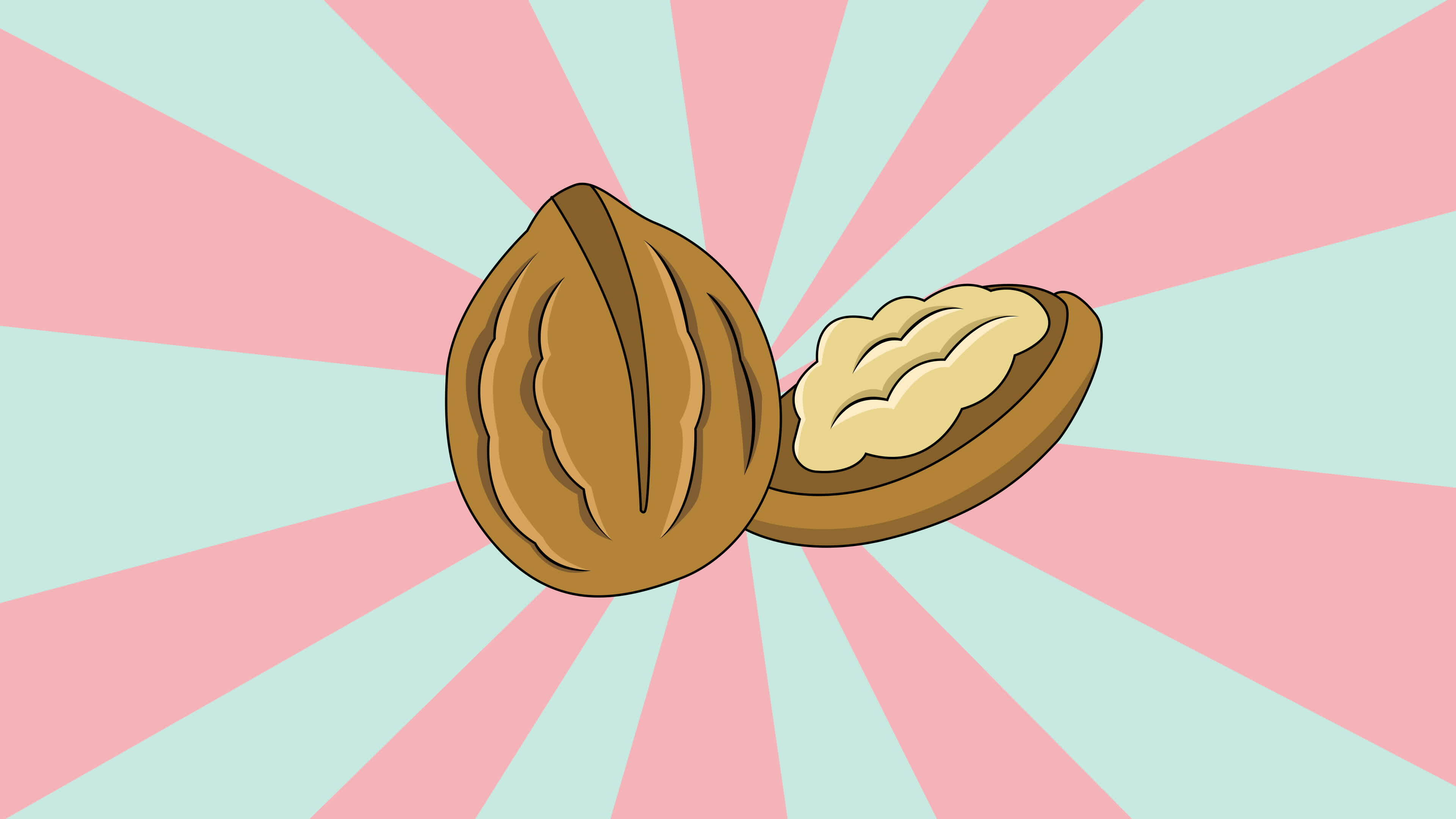 Animation of a walnut icon with a rotating background 33836053 Stock Video at Vecteezy