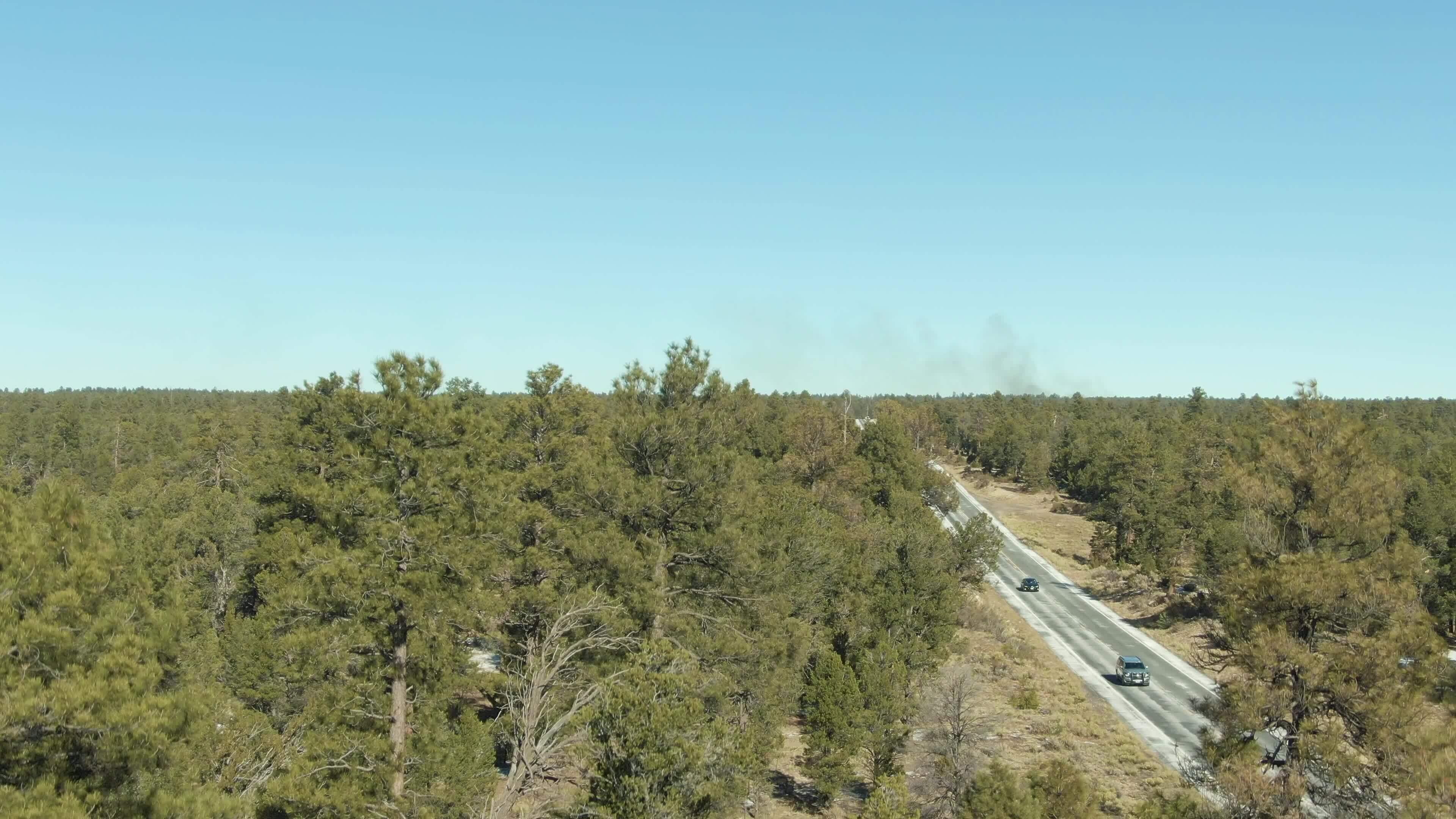 Kaibab nationale forêt, grandiose canyon et route. Arizona, Etats-Unis. aérien voir. drone ...