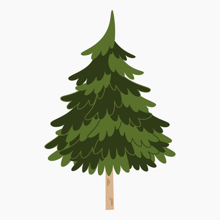 Realistic Pine Tree Vector Art, Icons, and Graphics for Free Download