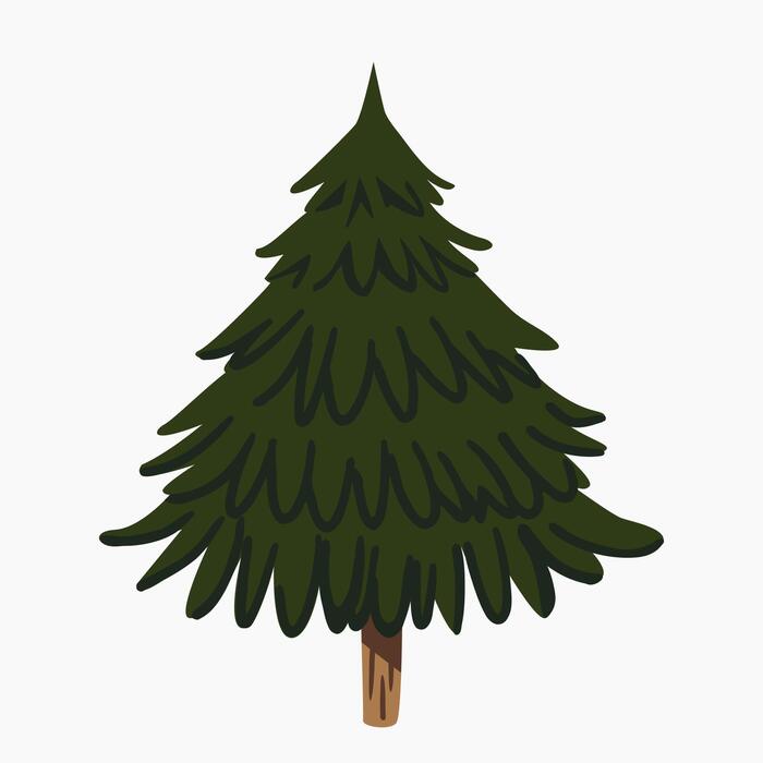 Realistic Pine Tree Vector Art, Icons, and Graphics for Free Download