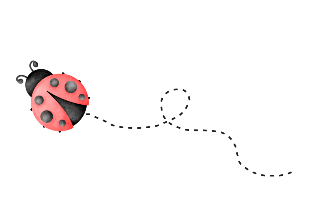 Dotted Line Pngs For Free Download