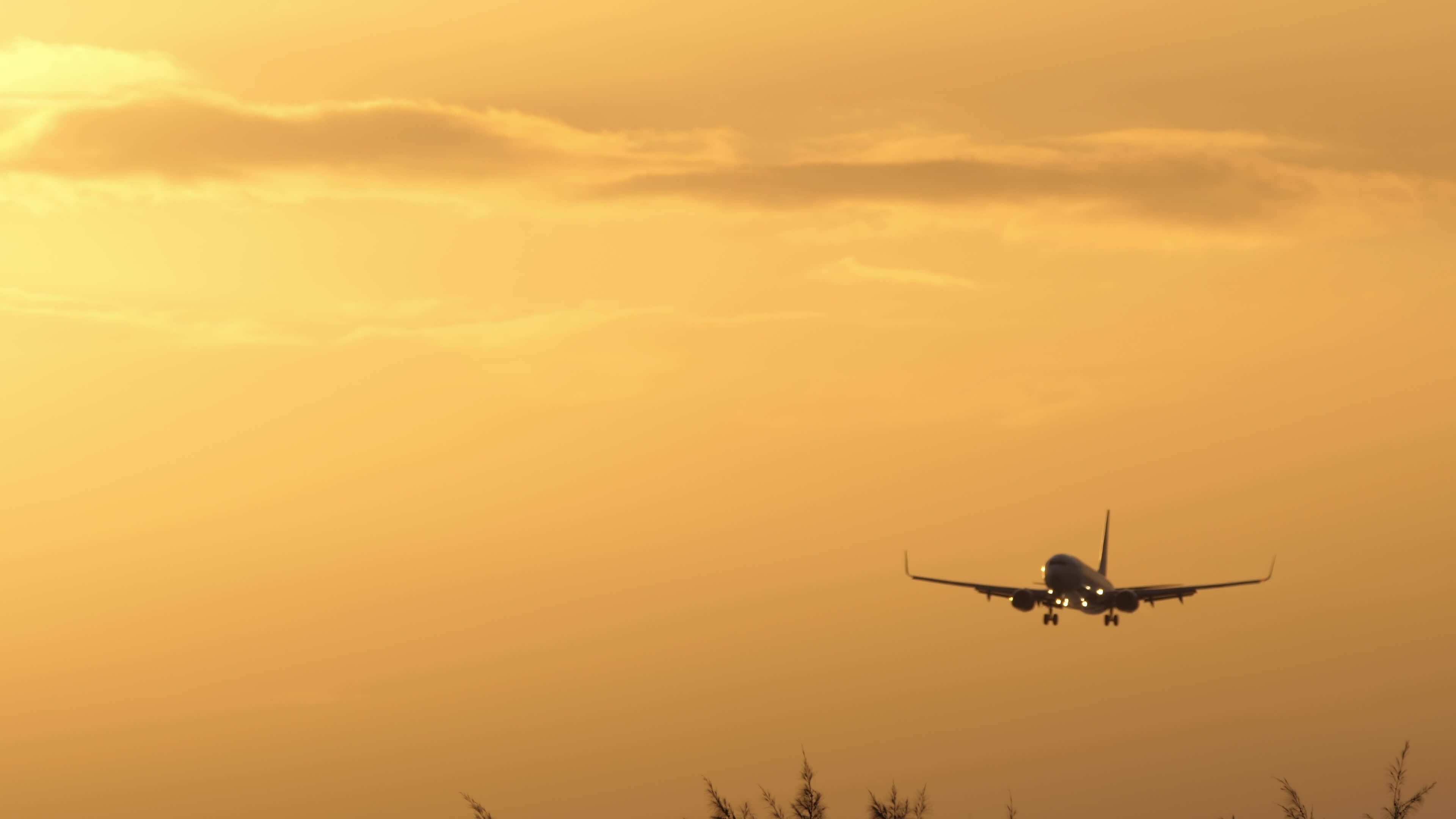 Jet Plane Approaching Landing Airplane Beautiful Evening Sky
