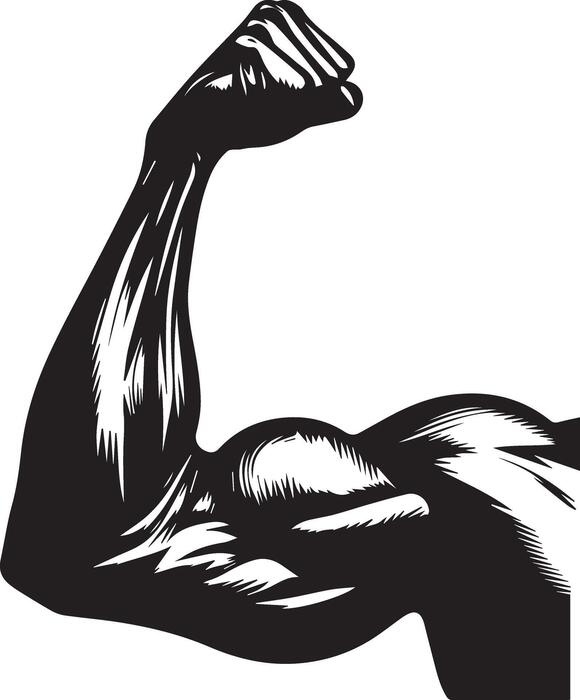 Muscle Arm Vector Art, Icons, and Graphics for Free Download