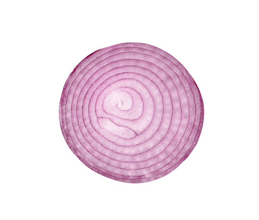 Onion Slice PNGs for Free Download