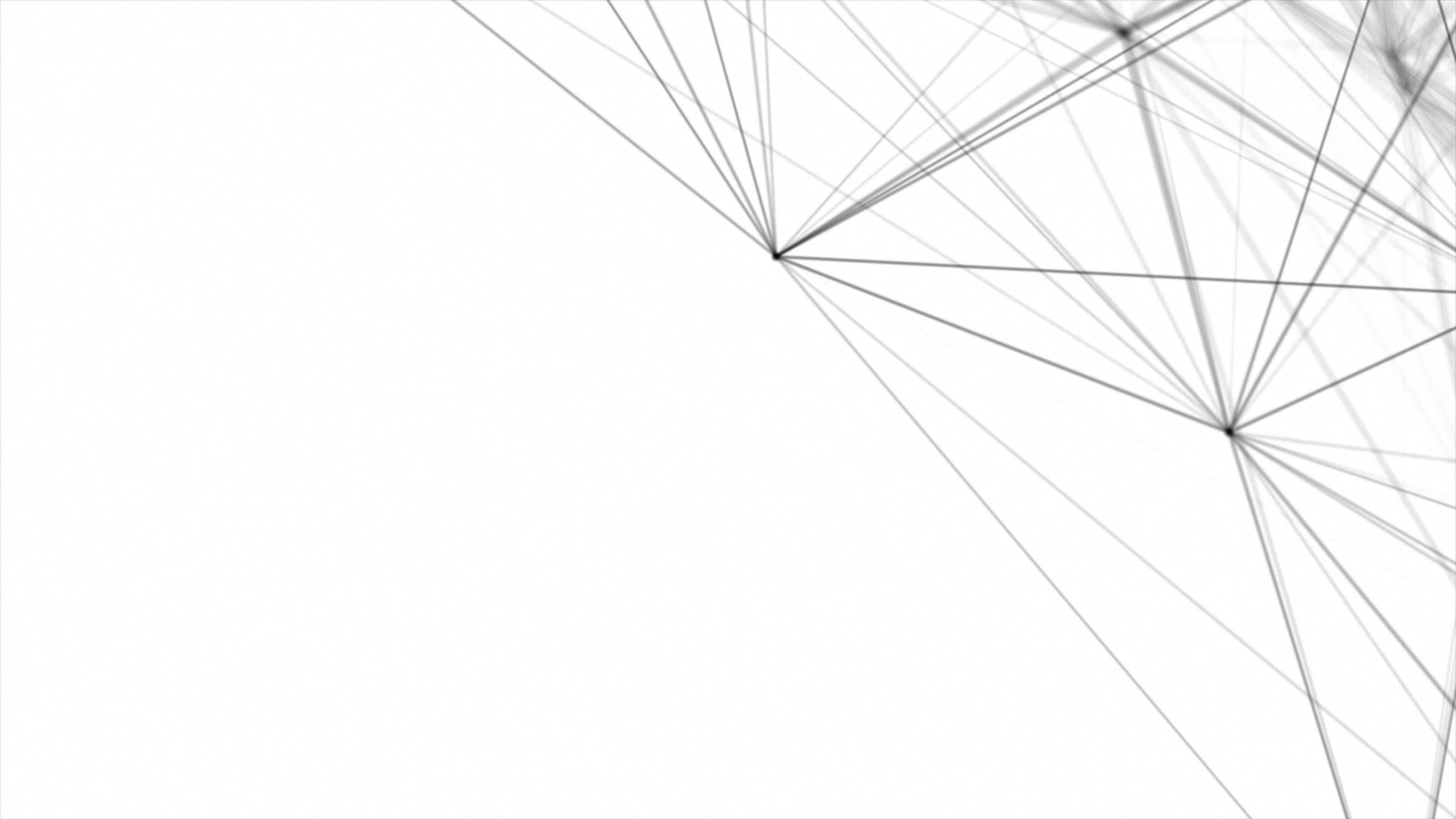 Simple White And Black Color Lines Forming Web Like Structure