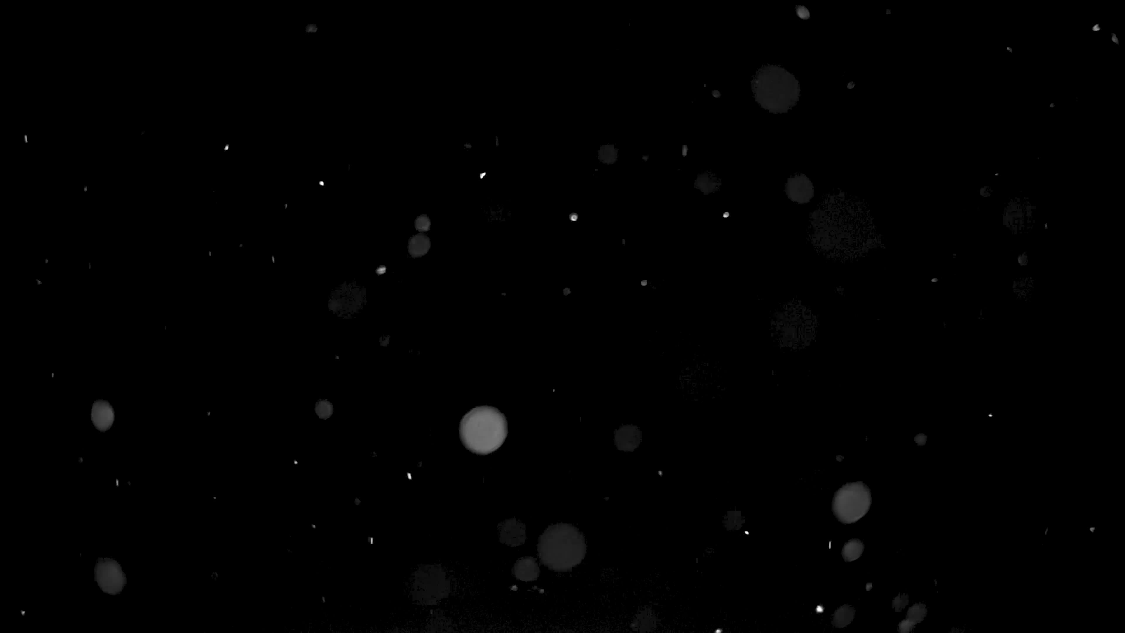 Real dust particles motion floating in the air. Organic cinematic effects background Macro Slow ...