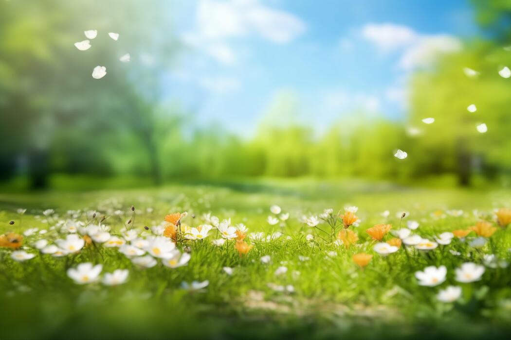Spring Nature Background Stock Photos, Images and Backgrounds for Free ...