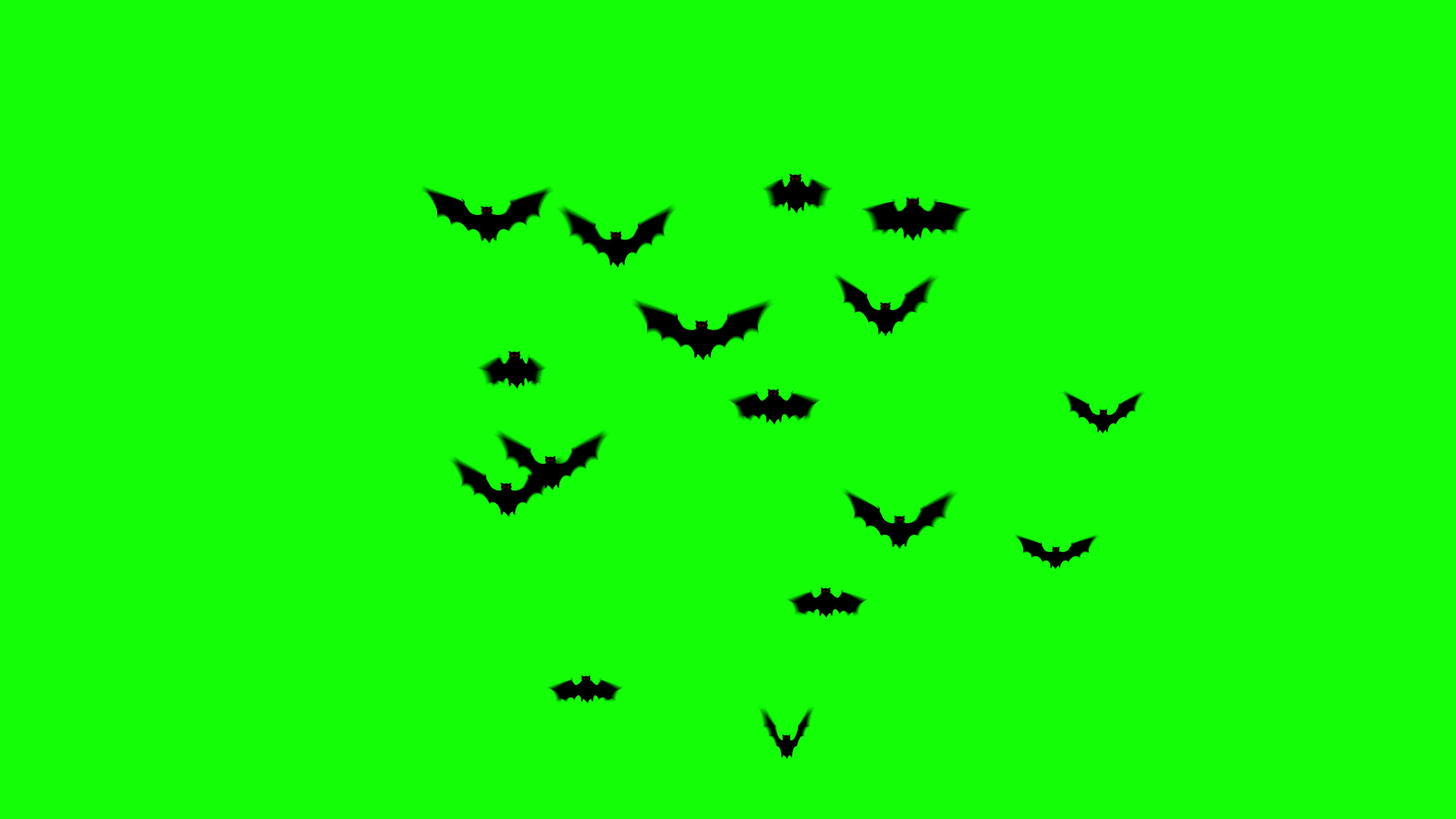 halloween bat flying loop motion graphics video transparent background ... halloween bat flying loop motion graphics video transparent background ...