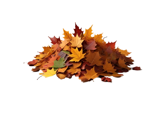 Leaf Pile PNGs for Free Download Leaf Pile PNGs for Free Download