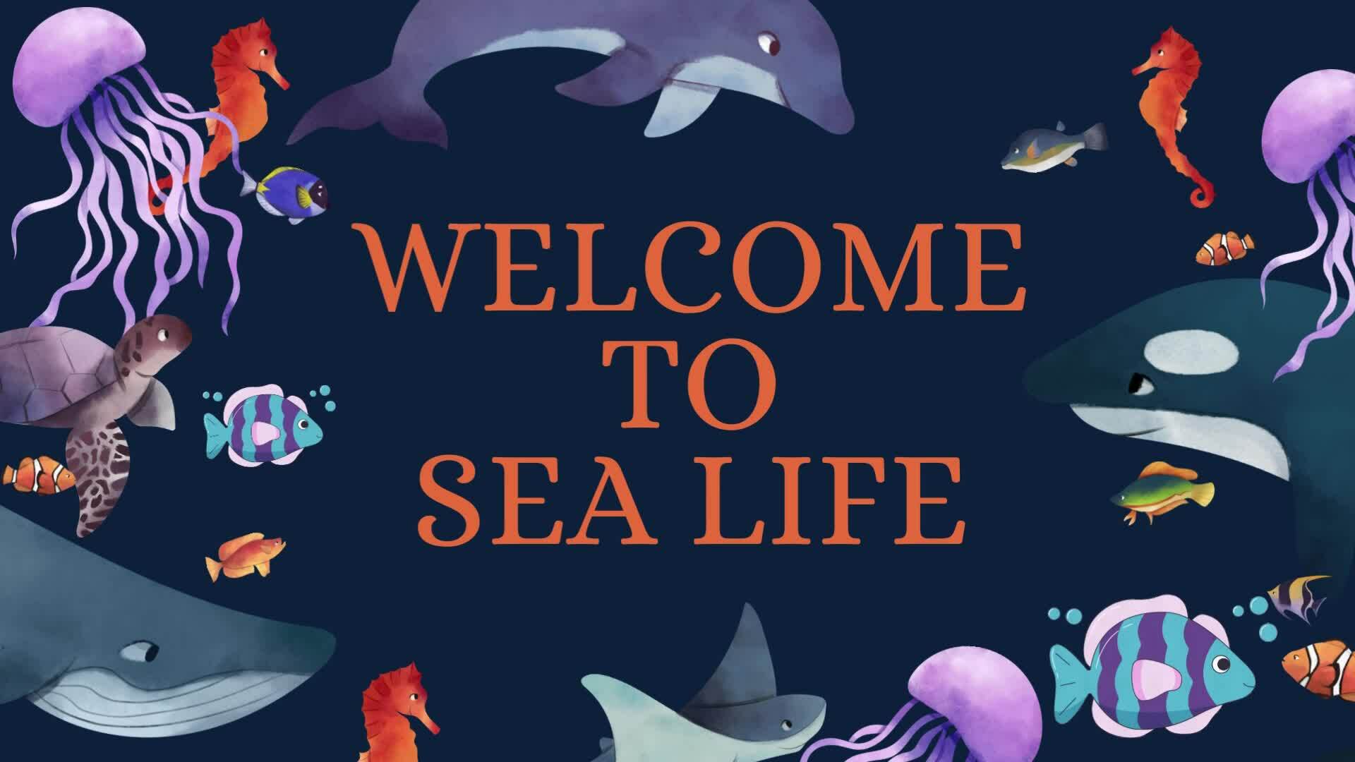 Welcome to sea life, animated video template. 34859448 Stock Video at ... Welcome to sea life, animated video template. 34859448 Stock Video at ...
