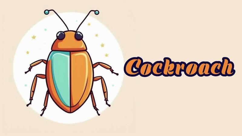 Educational animation introduction to animal names, Cockroach animal 4k resolution. 34873149 ...
