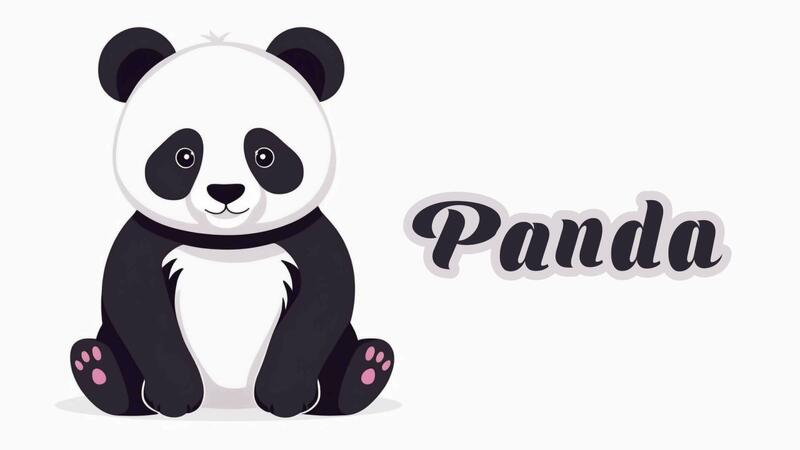 Panda Animation Stock Video Footage for Free Download