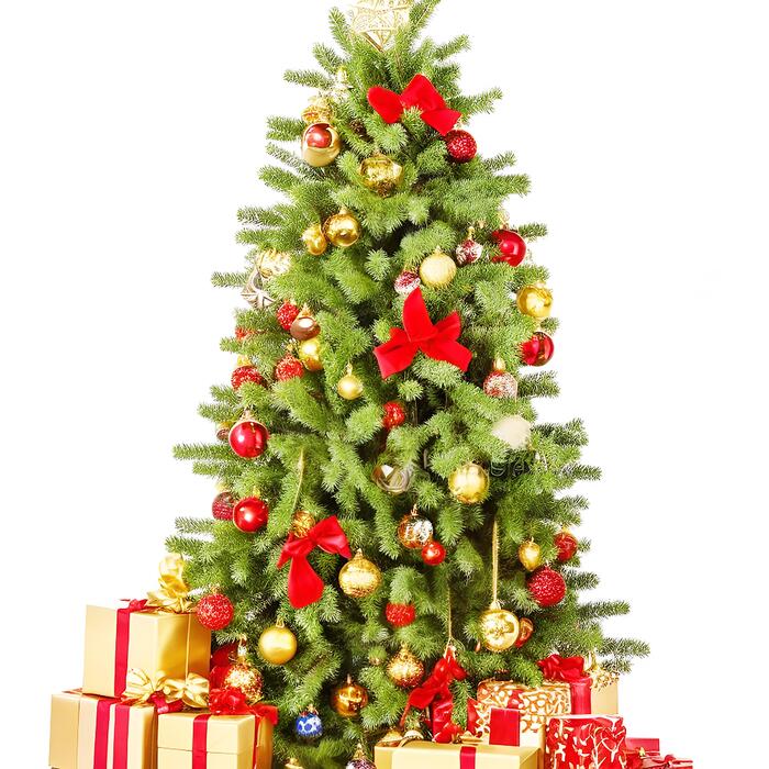 Christmas Tree No Background Stock Photos, Images and Backgrounds for ...