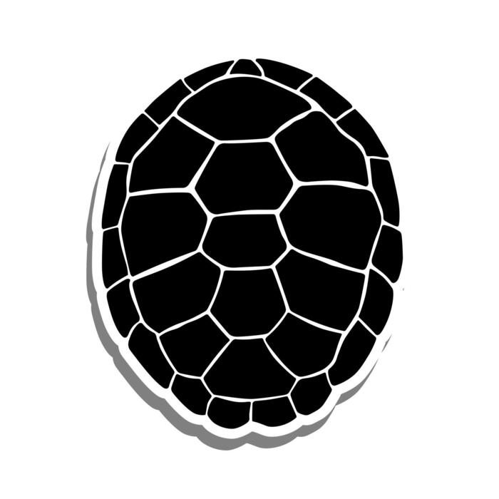 Turtle Shell Pattern Vector Art, Icons, and Graphics for Free Download